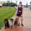 The Dog Gal | Dubuque, IA